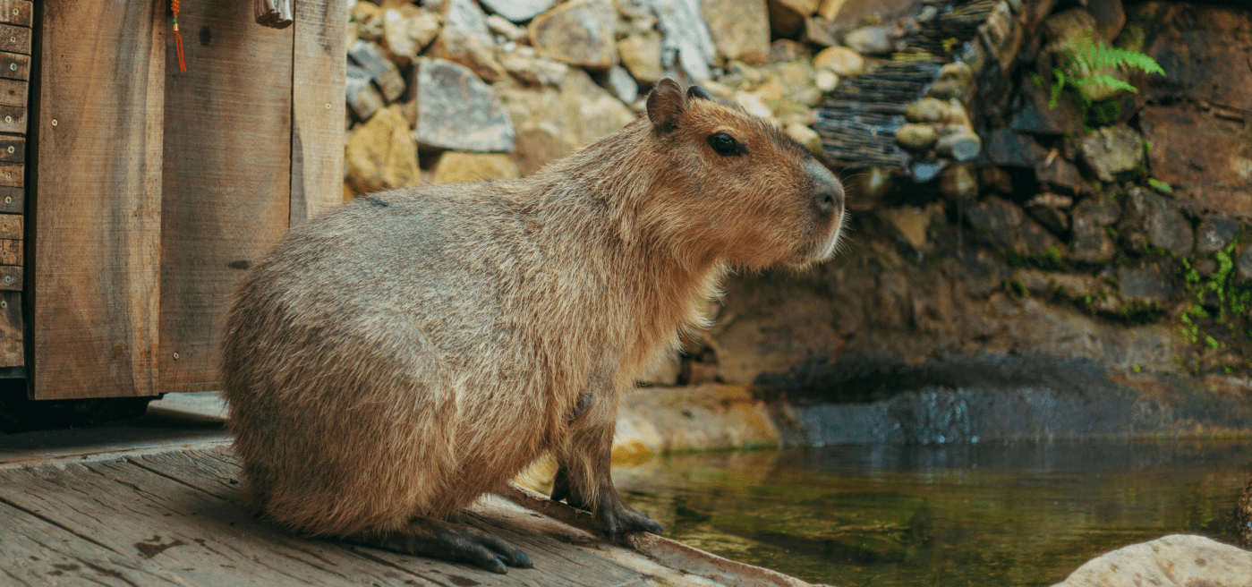 Private Experiences | Ghost Ranch Exotics